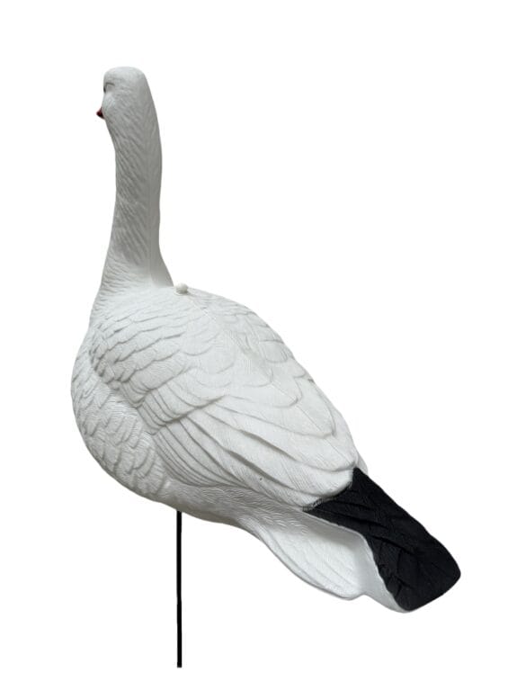 Sentry Snow Goose Full Body Decoys, 6 Pack | SkyFly Decoys