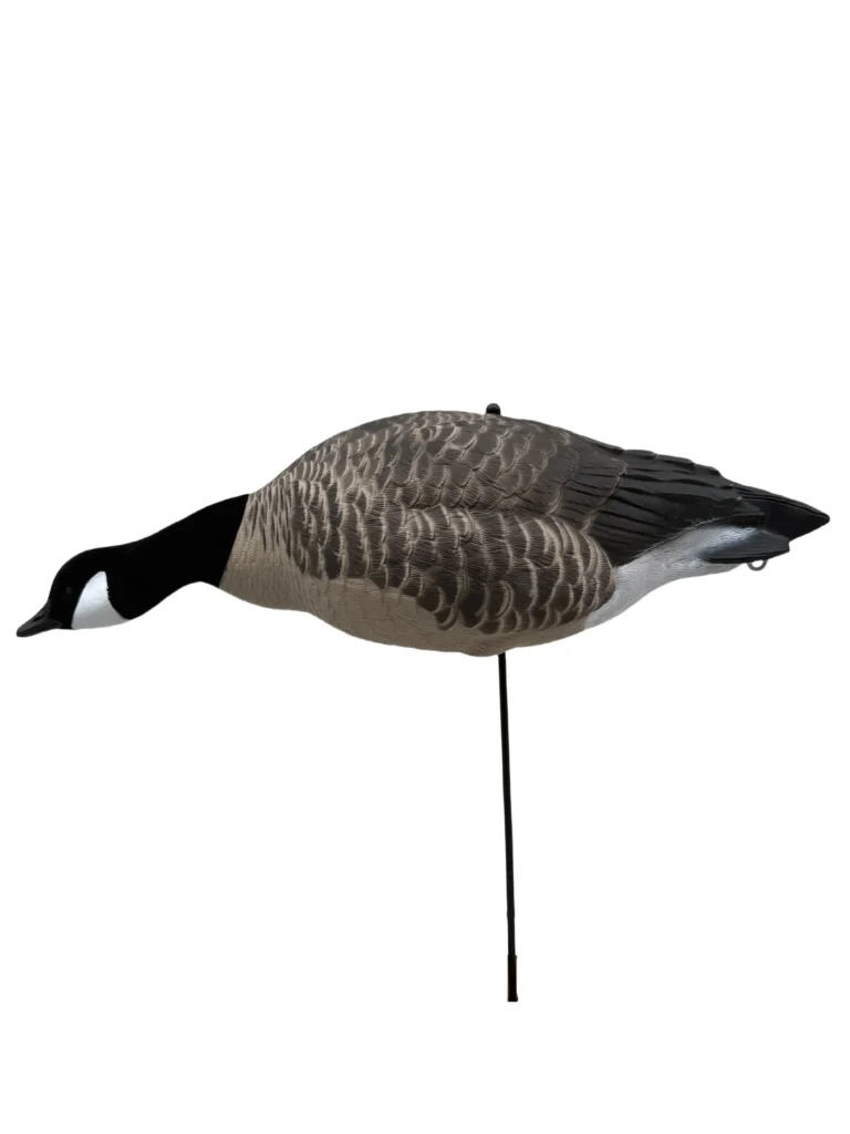 Feeder Canada Goose Full Body Decoy | SkyFly Decoys